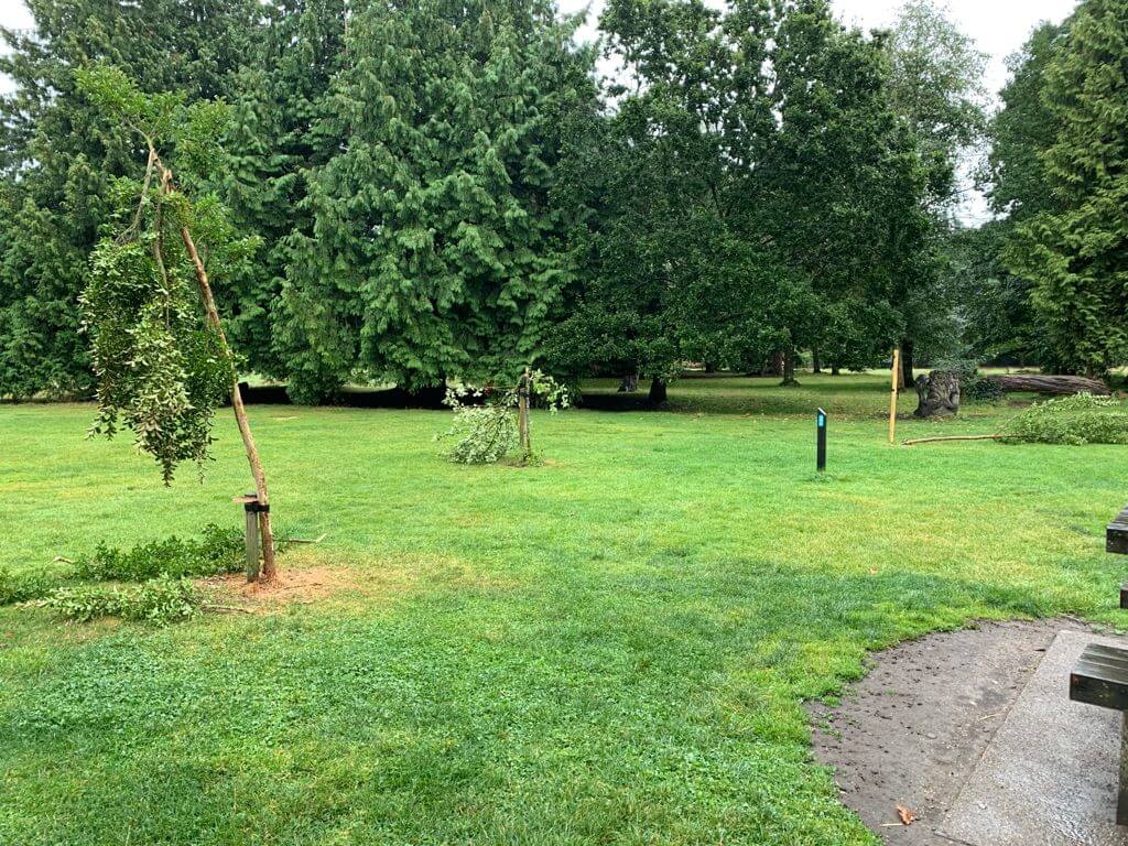 Bute Park - Vandalism to Bute Park