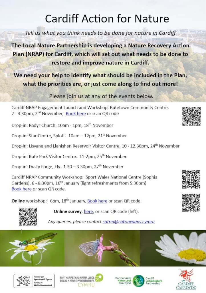 Bute Park - Cardiff Action for Nature Events