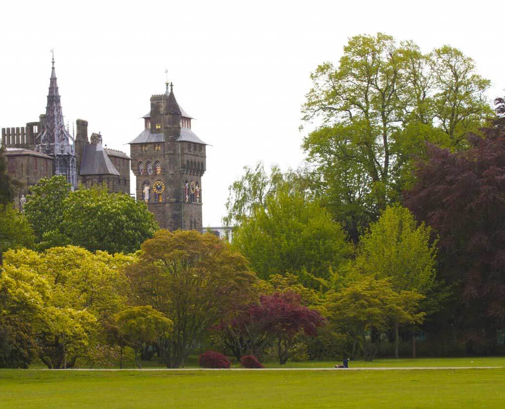 Bute Park - Family tree trail