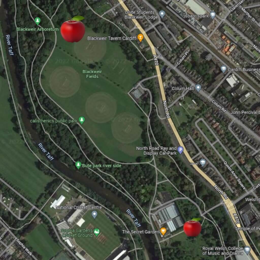 Bute Park - Community Orchard Enhancements