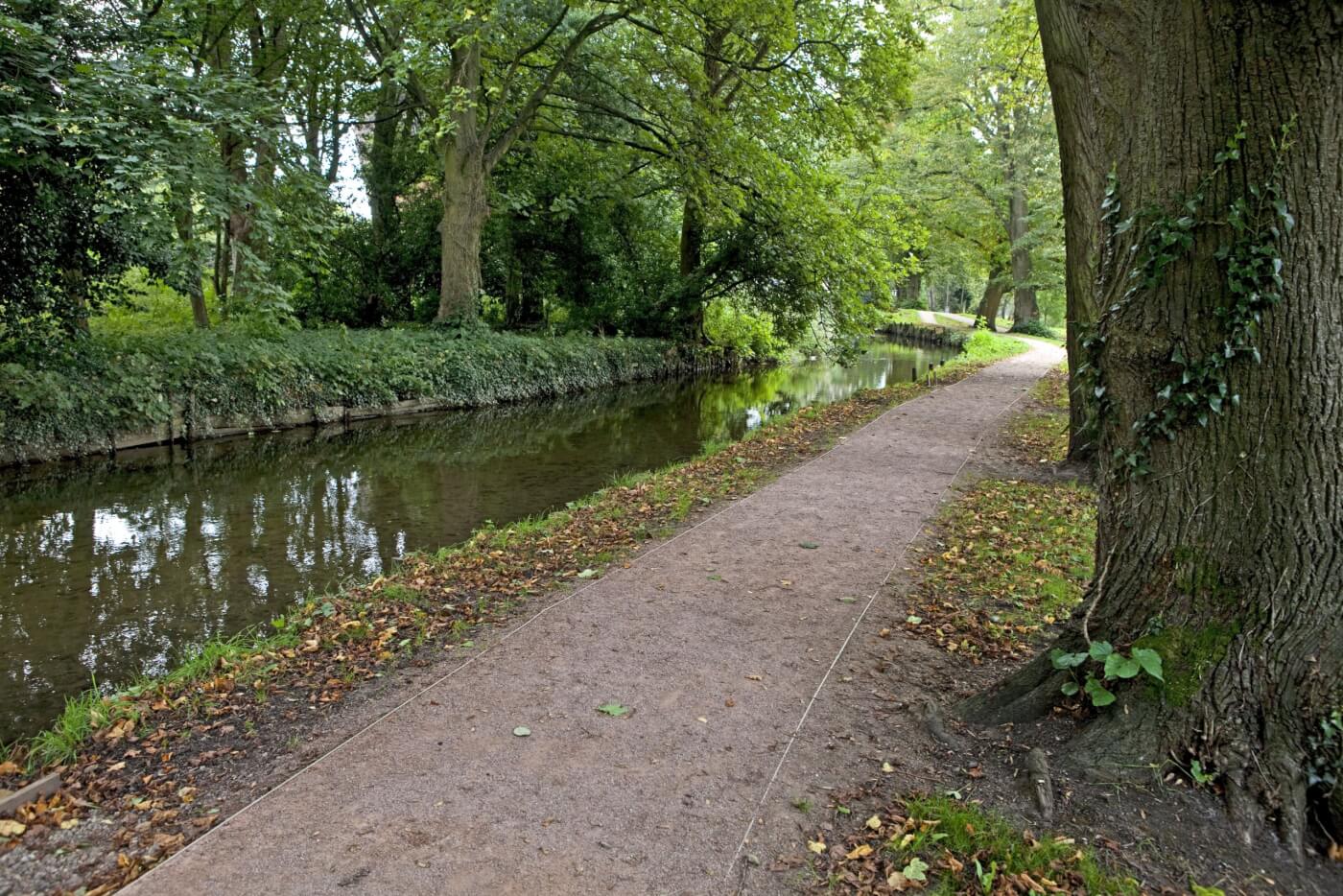 Bute Park - Dock Feeder Canal