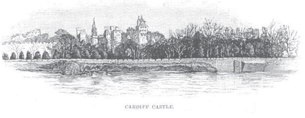 Bute Park - Bridge Abutment