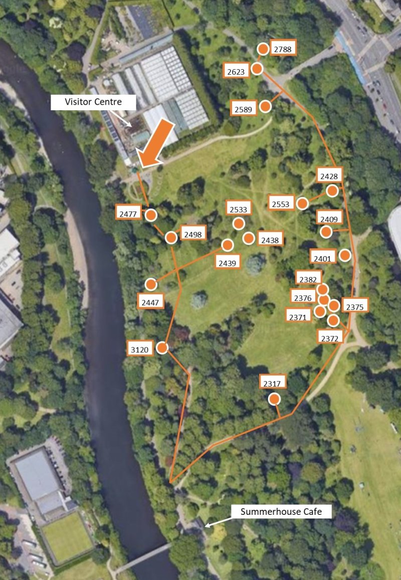 Bute Park - The Central Collection