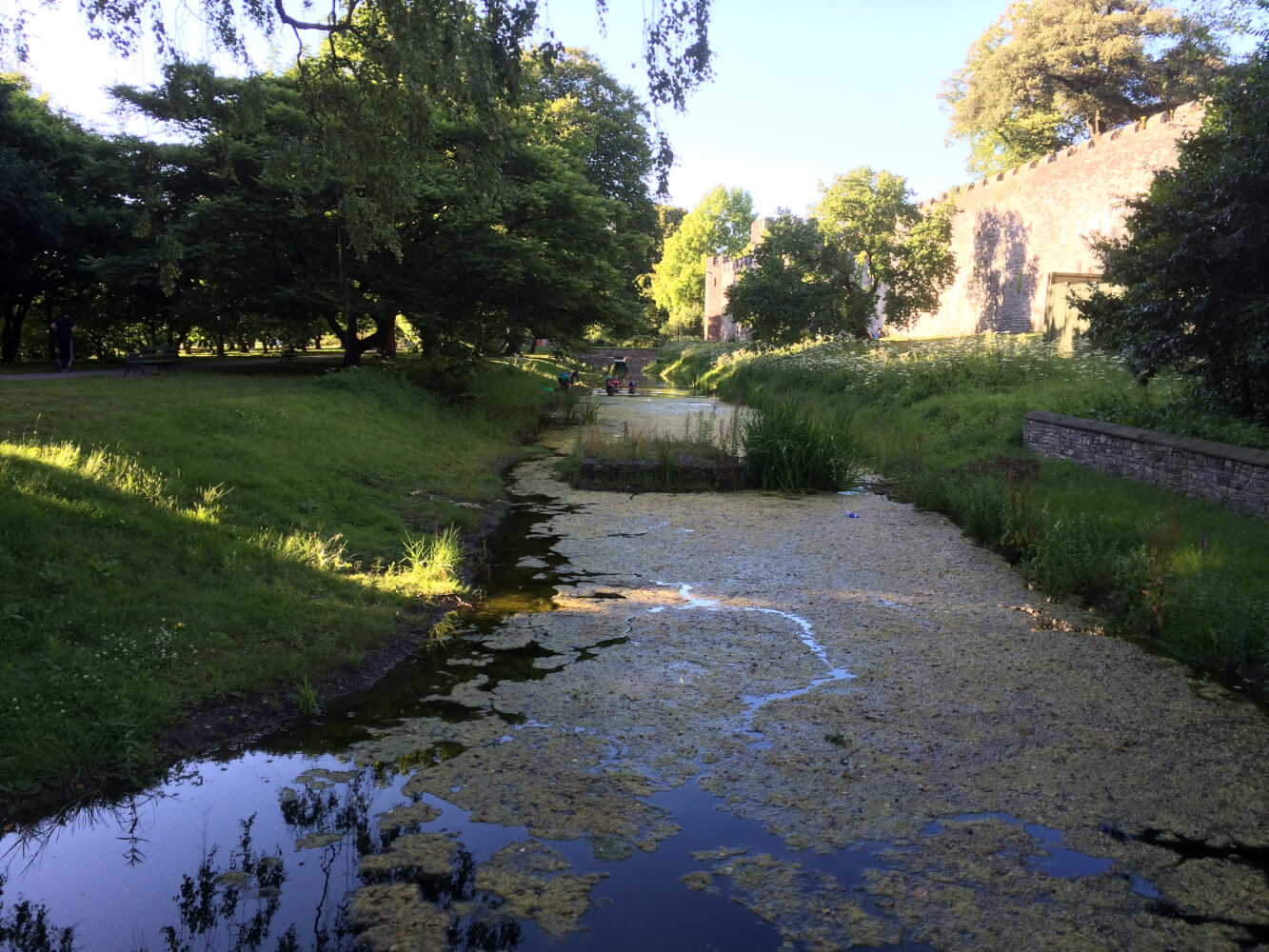 Bute Park - Mill Leat