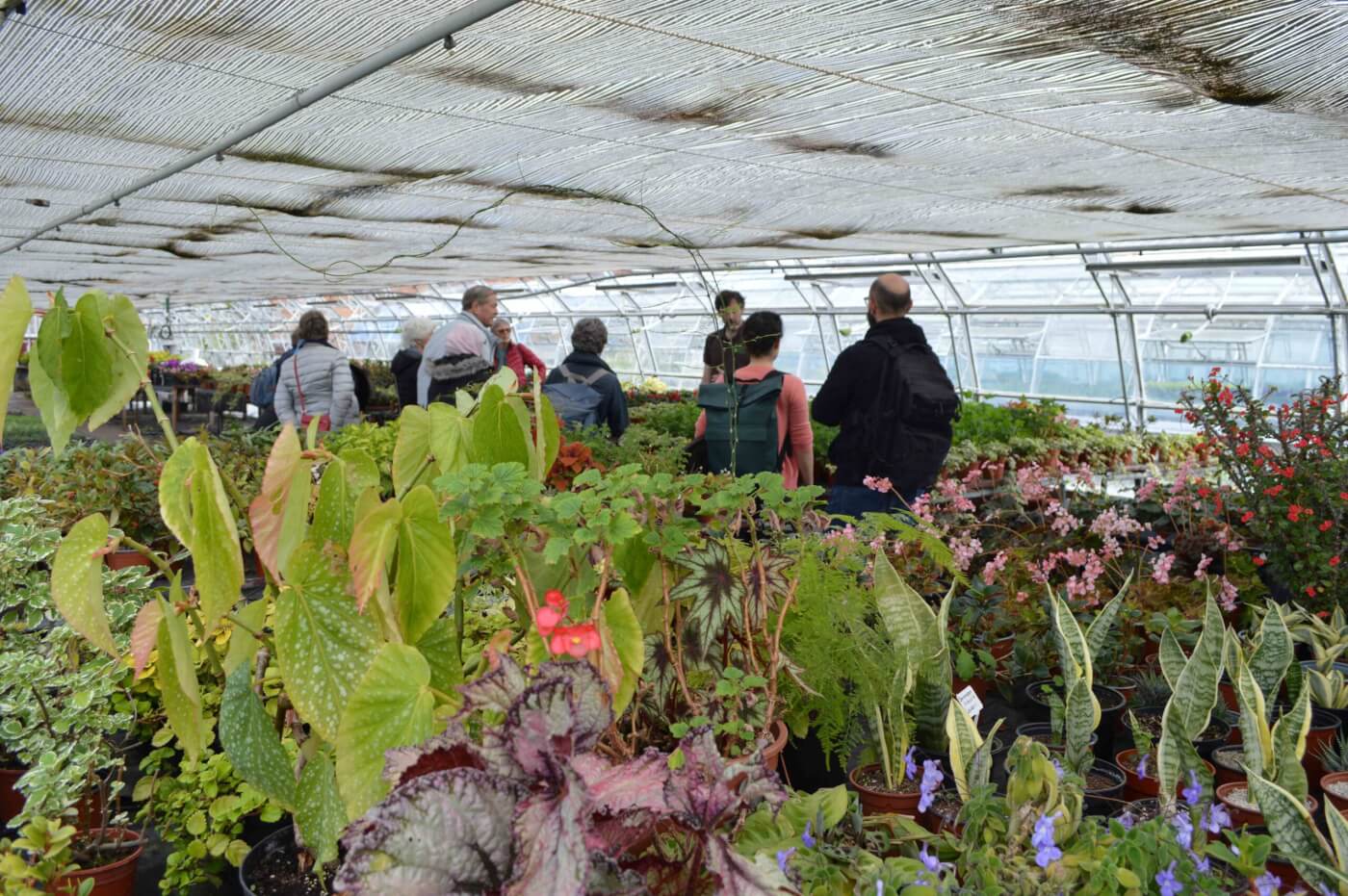 Bute Park - Bute Park Spring Weekender – 25 & 26 April