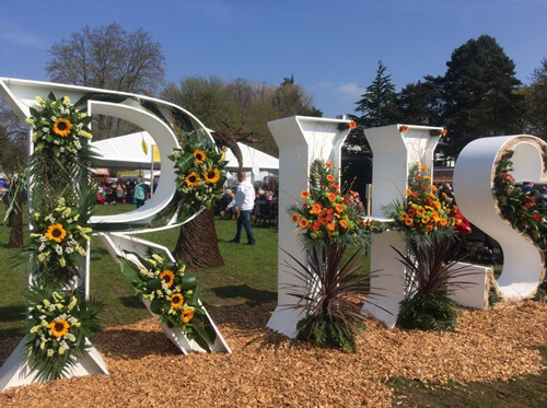 Homepage | Bute Park : Bute Park