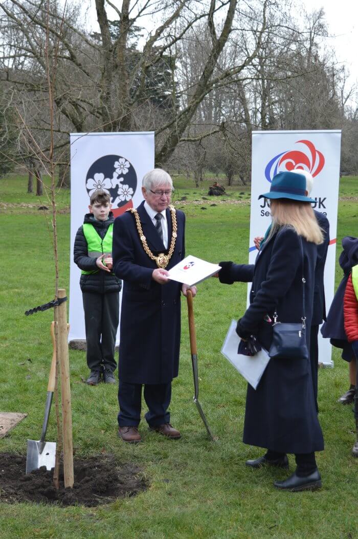 Bute Park - New cherry blossom tree avenue planted in Bute Park as an ...