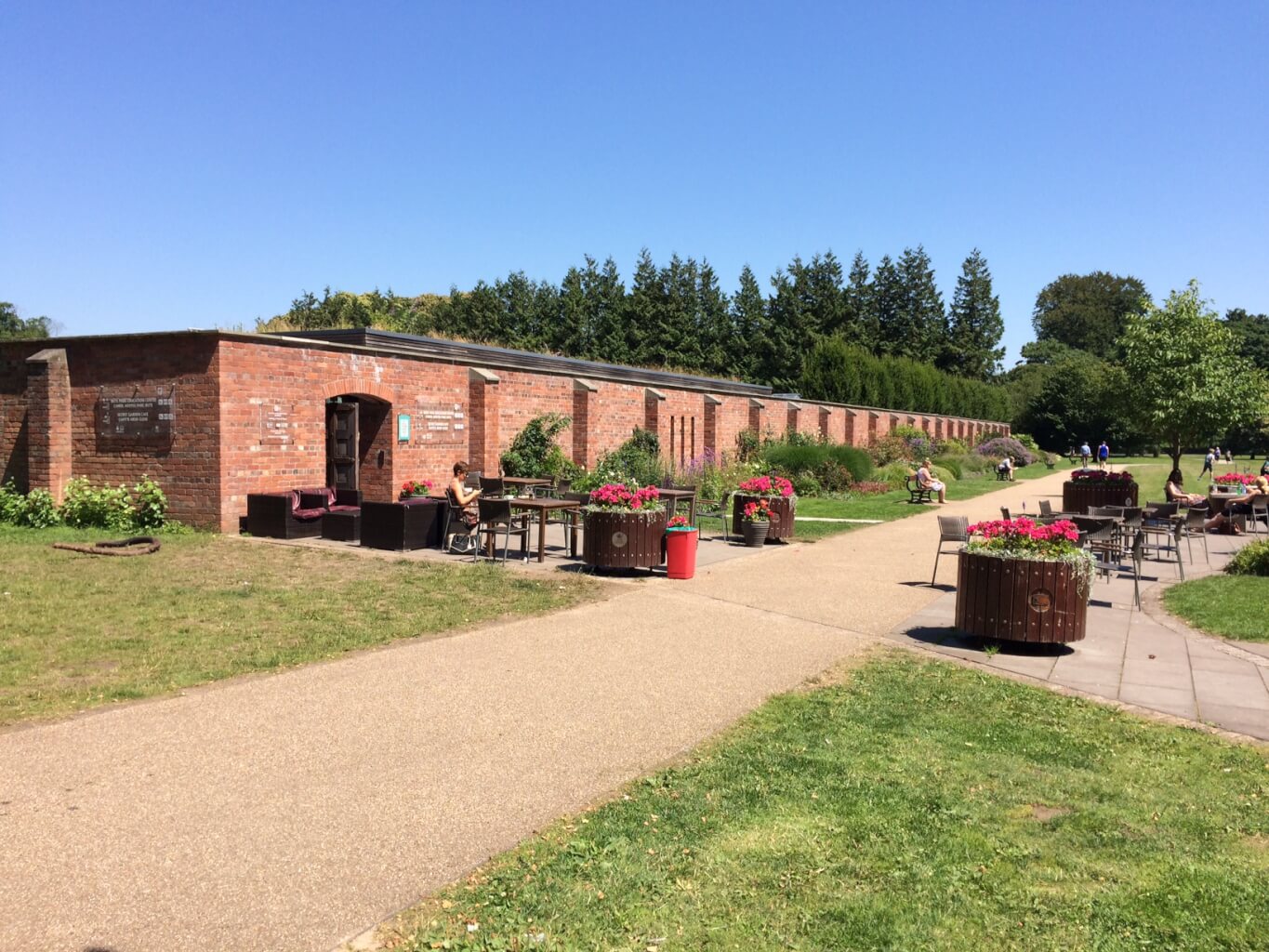 Dawn Chorus - Bute Park