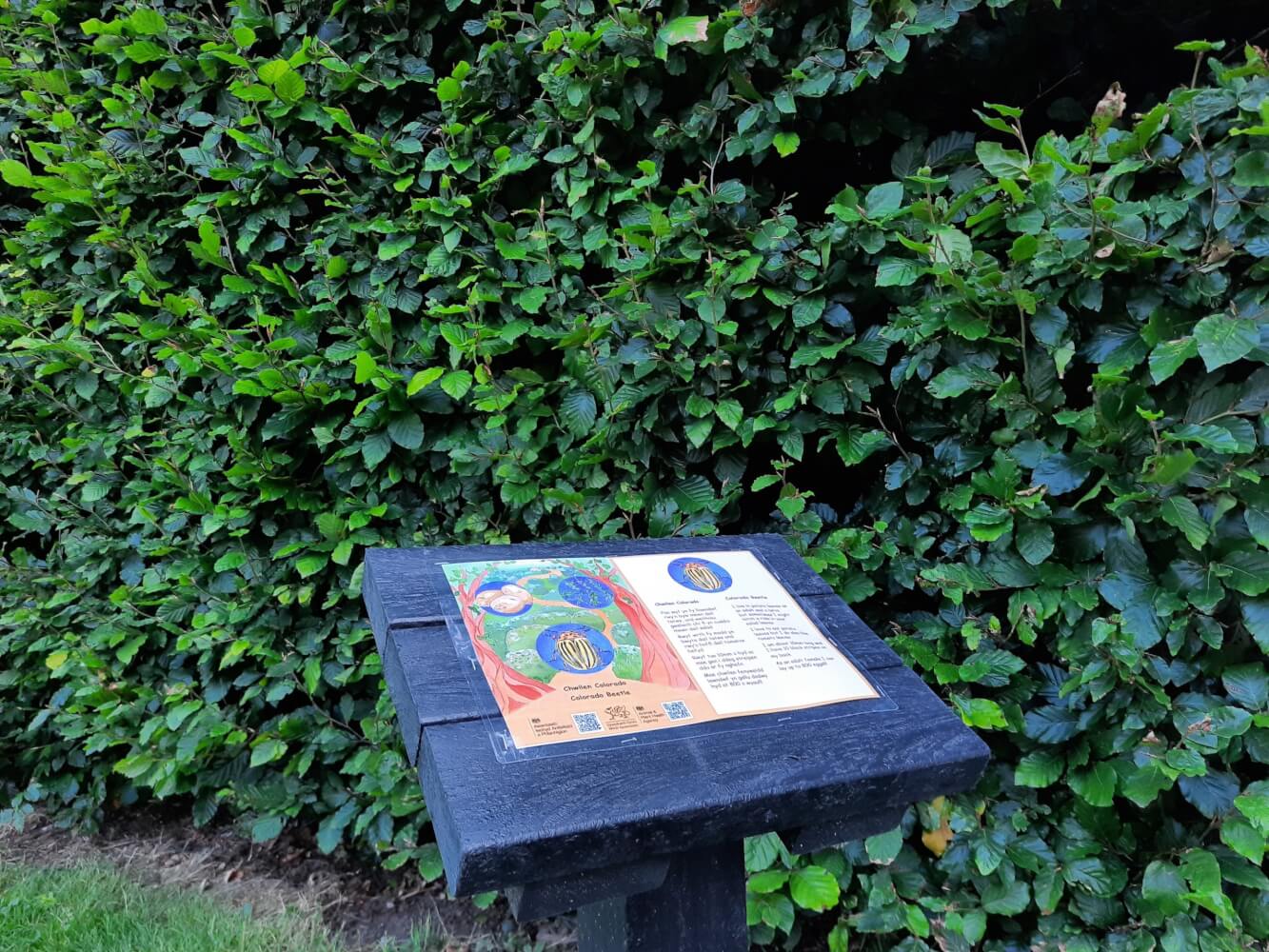 Bute Park - Nature Activity Trail