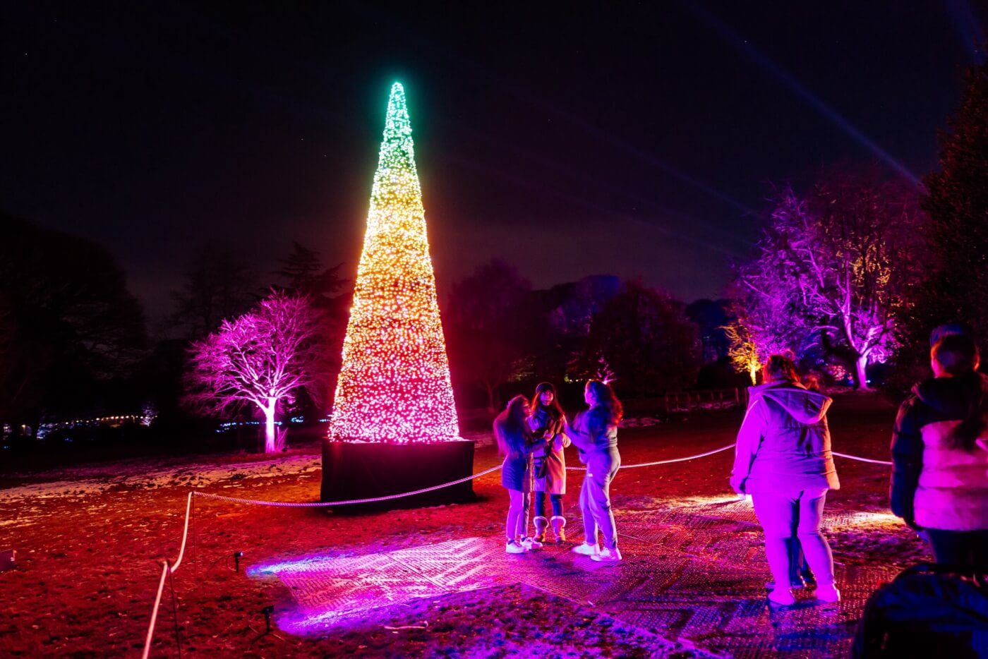 Bute Park - Christmas at Bute Park